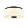 Robson Hall 15.5″ Flush Mount – DVI Lighting | Canada's Leading ...